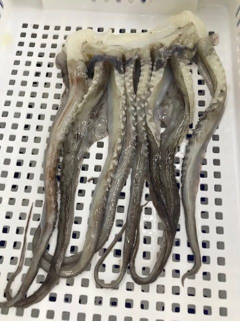 PRODUCTOS – LEBUMAR