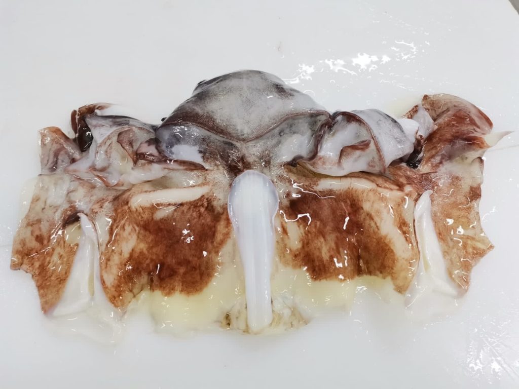 PRODUCTOS – LEBUMAR